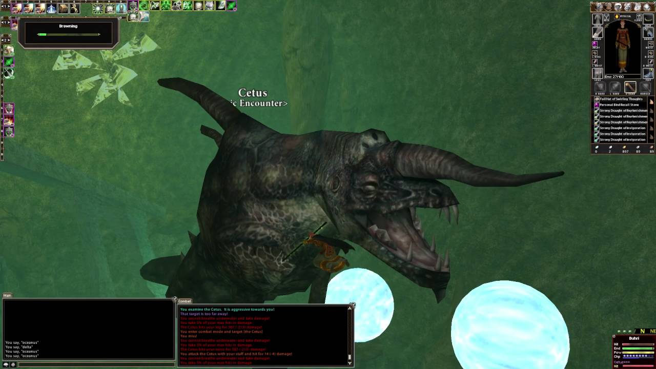 Cetus super fish - Dark Age of Camelot - YouTube