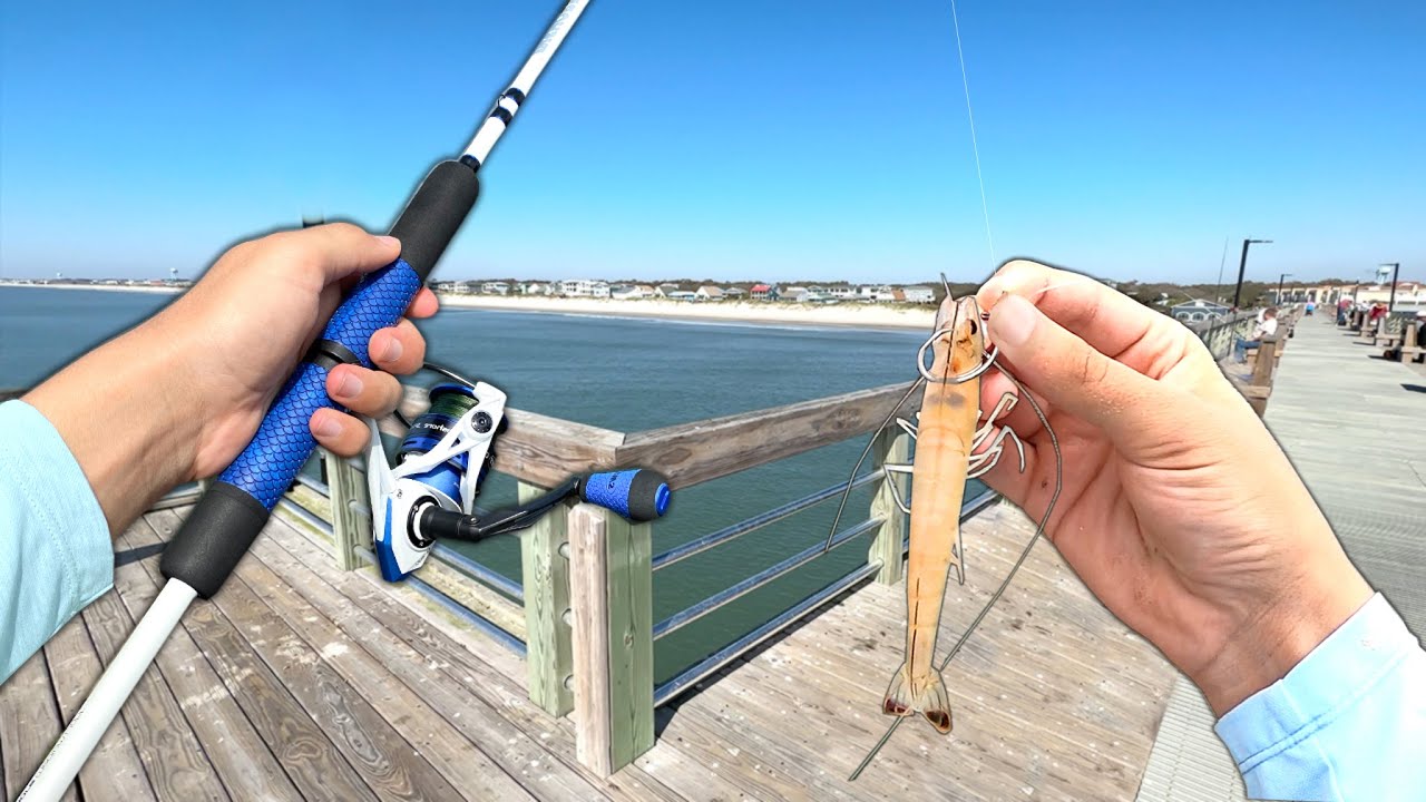 Eating Whatever I Catch.. PIER Fishing (Catch and Cook) - YouTube