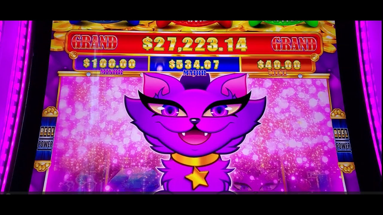 Check out the Whisker Wheels Kismet Kat Slot Machine for a SURPRISE ...