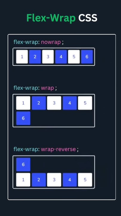 Flex wrap css #css #webdevelopment - YouTube