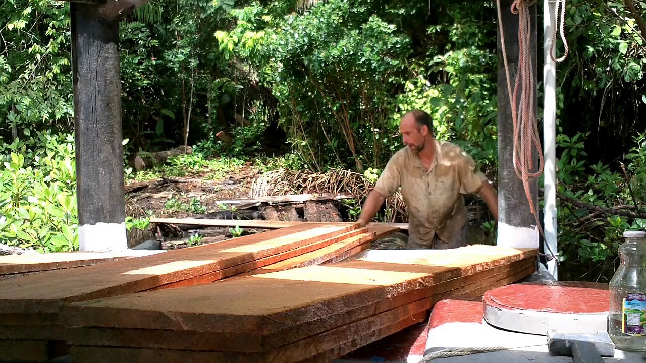 Getting Wood and the Exhausting Week - YouTube
