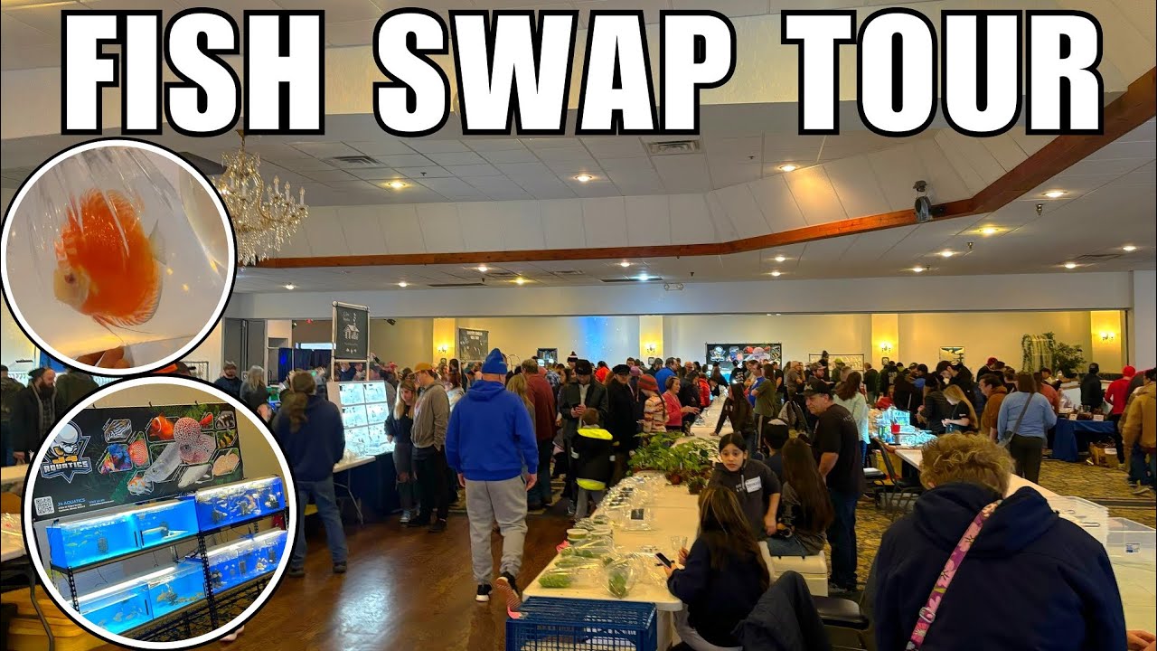 Is This The BEST FISH SWAP In THE WORLD?!! *Tour* - YouTube