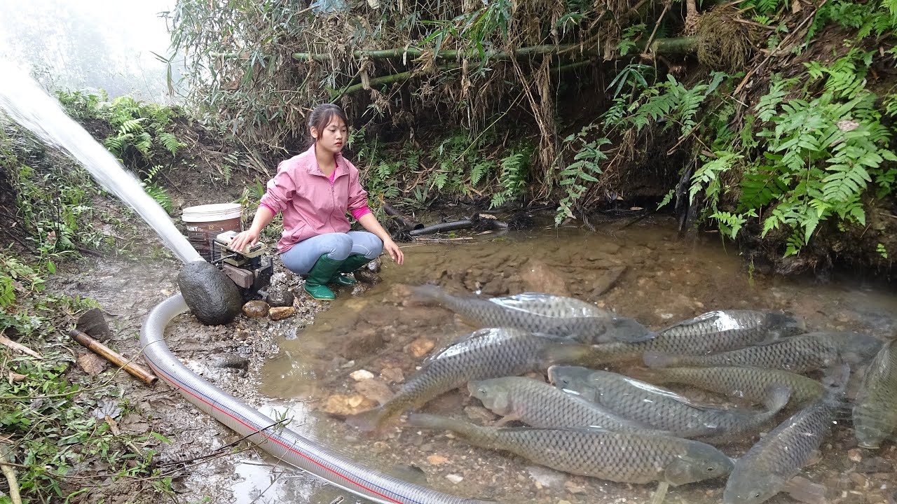 Amazing Fishing Videos: How to Catch Fish From Puddles, Fishing With a ...