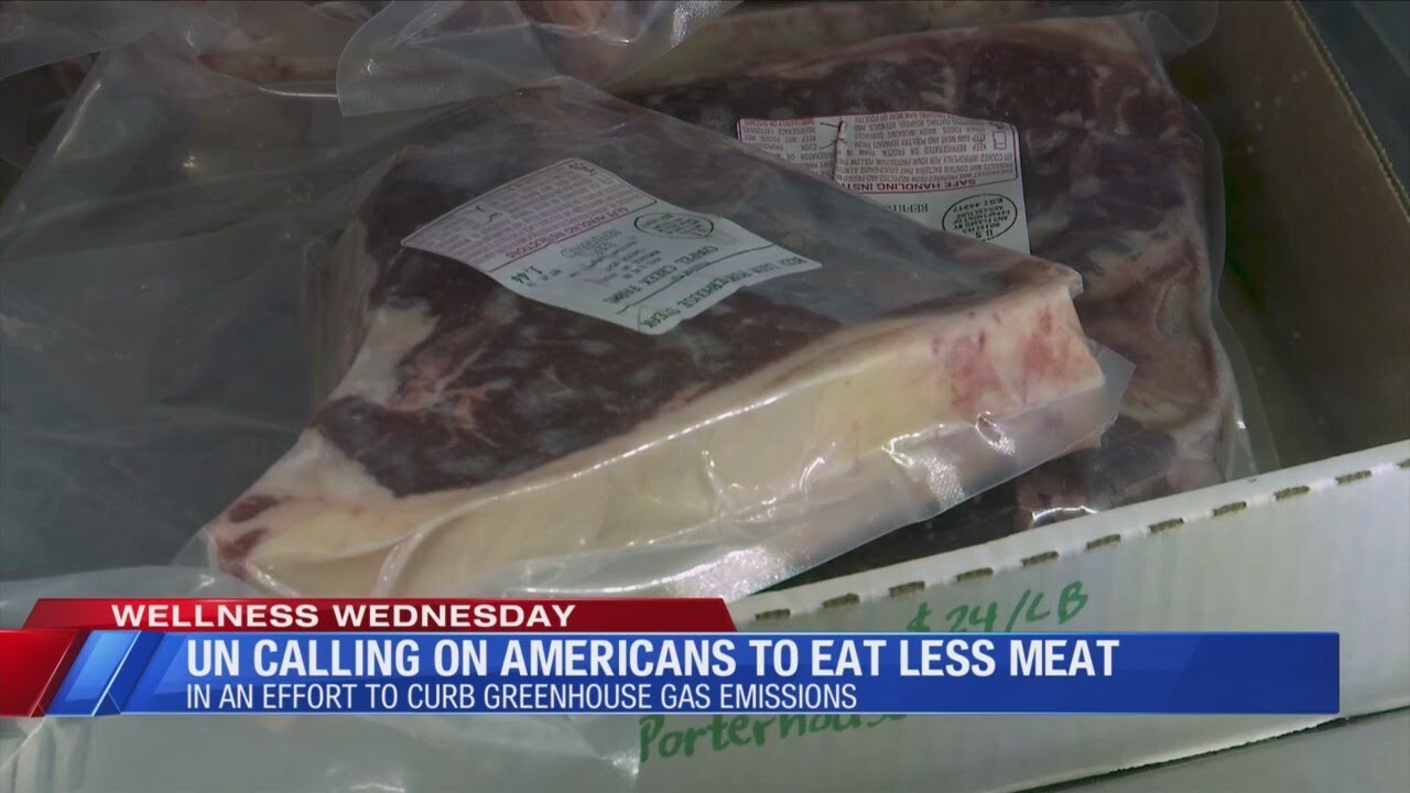 United Nations asking Americans to eat less meat in hopes of reducing ...