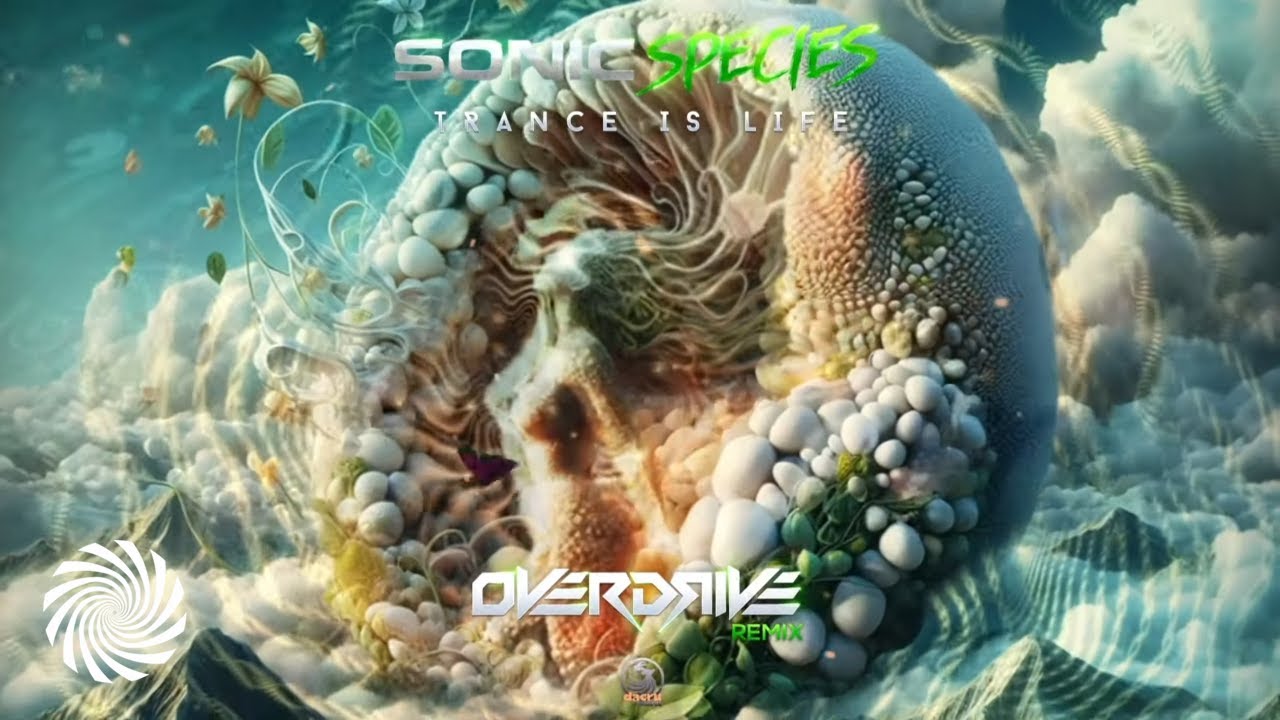 Sonic Species - Trance Is Life (Overdrive Remix) - YouTube