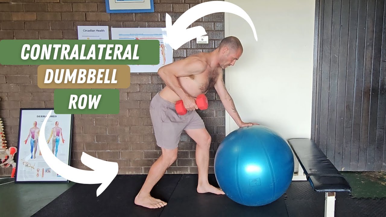 Dumbbell swiss ball bent over row contro-split stance - YouTube