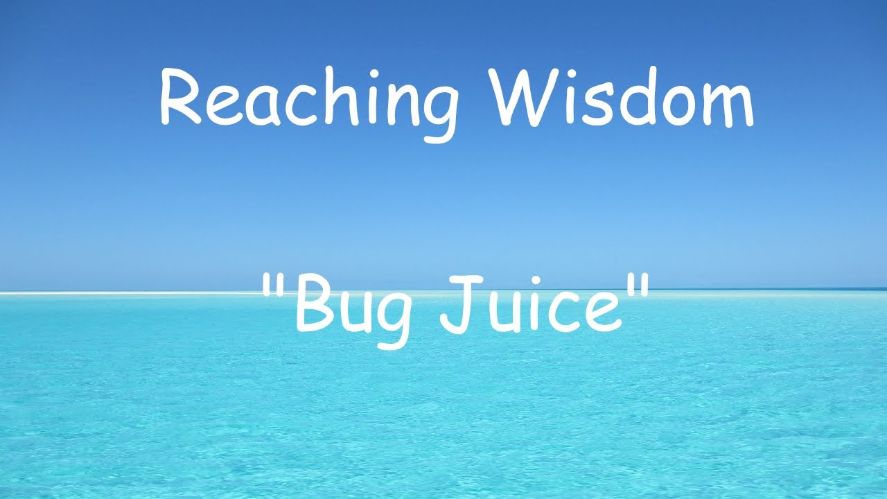Reaching Wisdom | Bug Juice | Original Music | Organic | Novation | Synth | SG | Summer | Enjoy ...