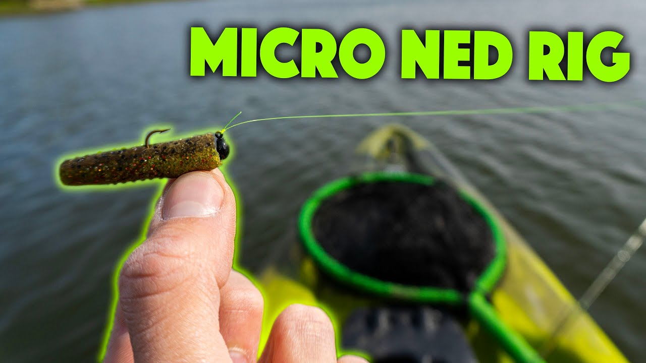 Fishing for Whatever Bites with a MICRO NED RIG! - YouTube