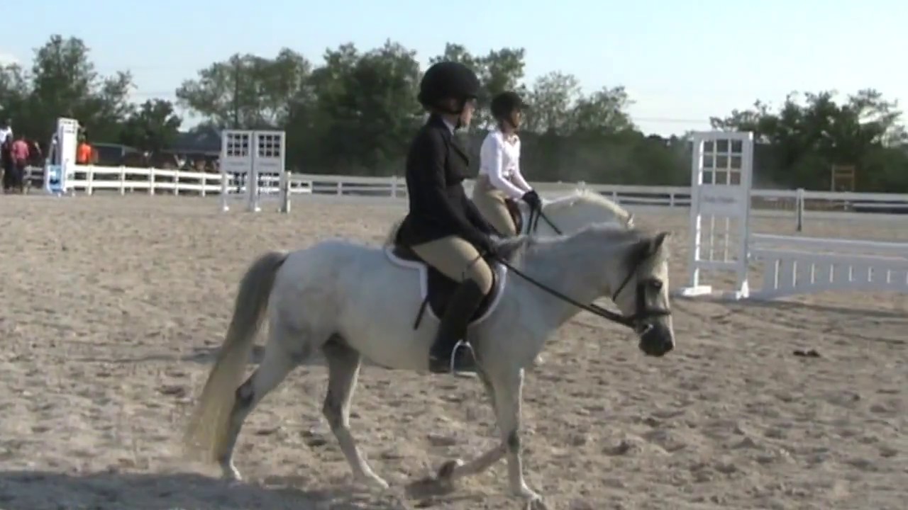 Small Pony Hunters Della & Lily - YouTube
