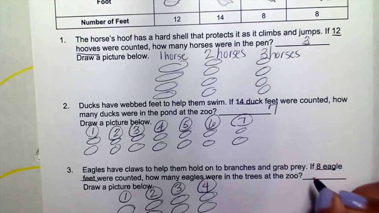 Science: Math Connections - YouTube