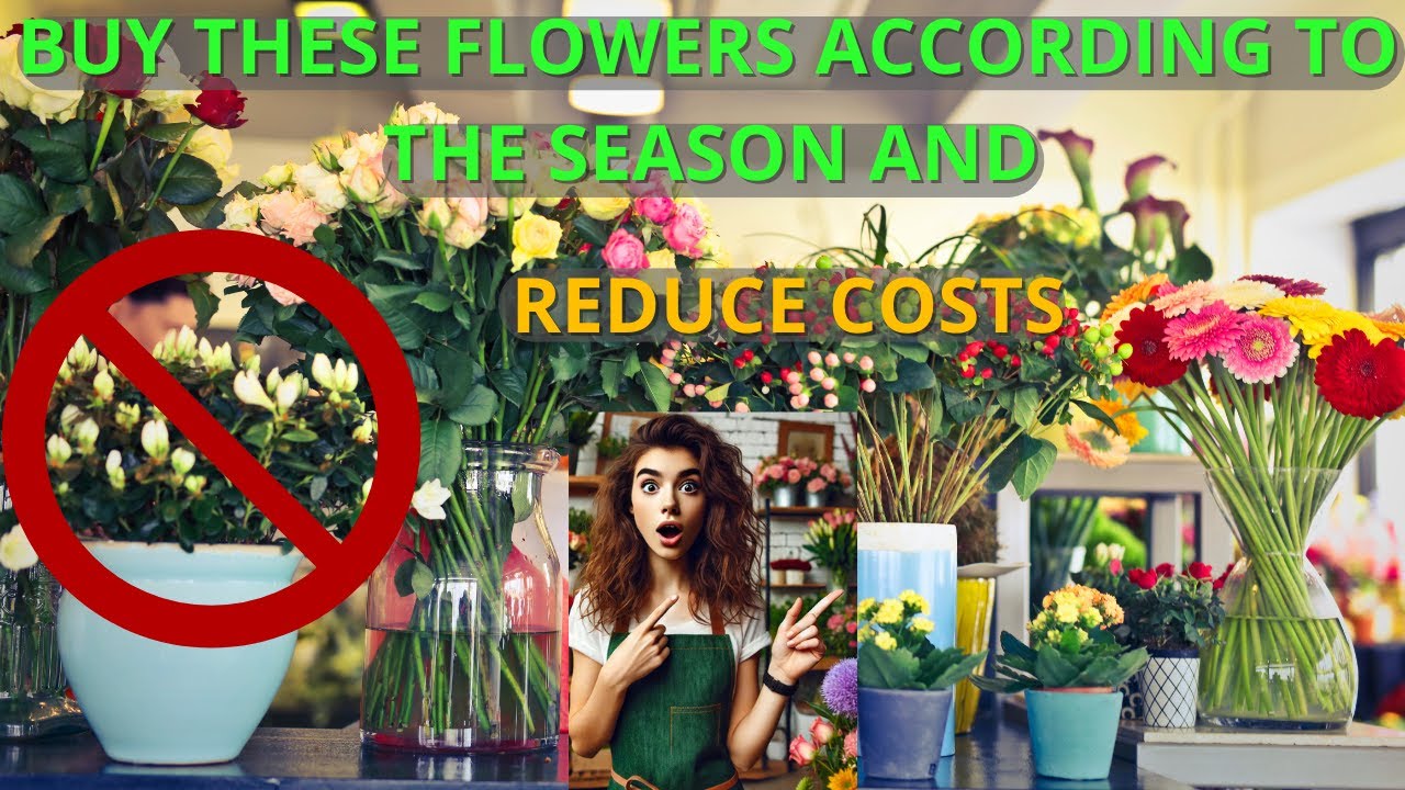 Best flowers to buy according to the season - Reduce costs for your ...