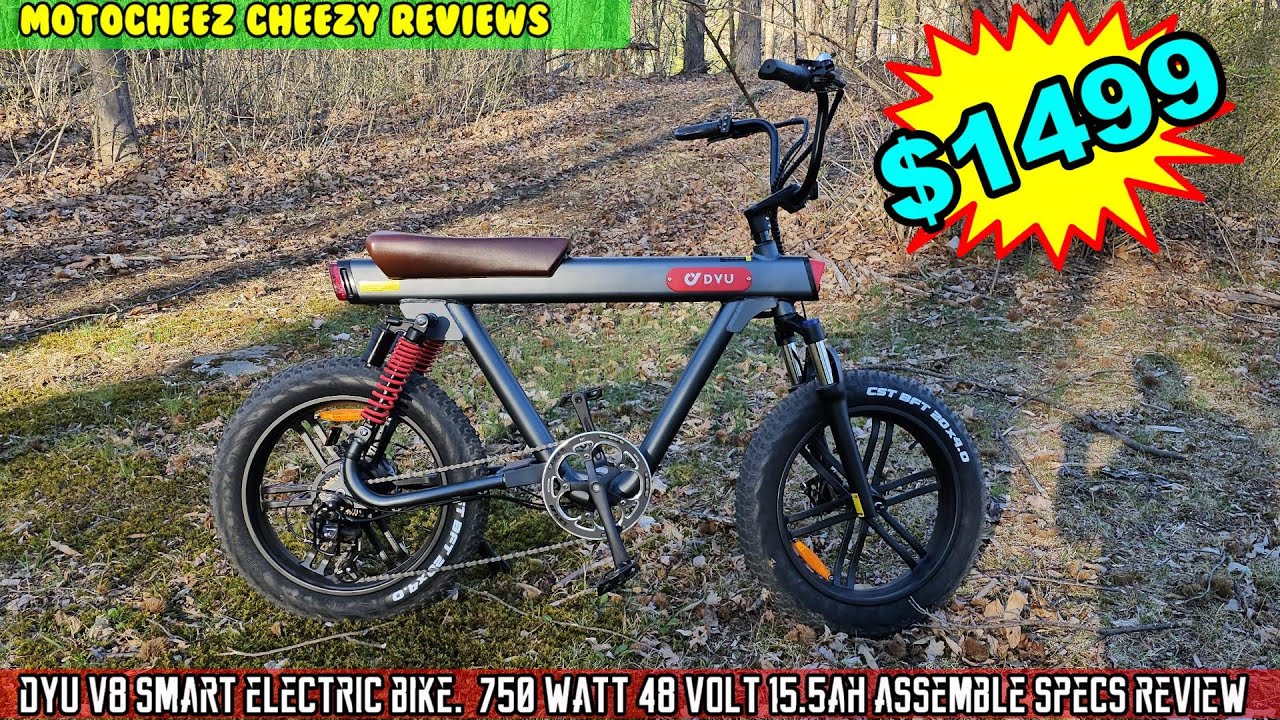 DYU V8 750 watt 48 volt 10.5ah 20" fat tire dual suspension E-bike ...