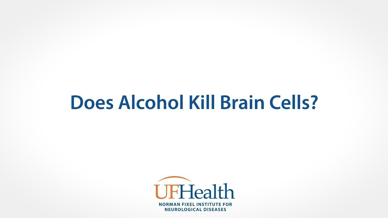 Brain Awareness Week Does Alcohol Kill Brain Cells Youtube