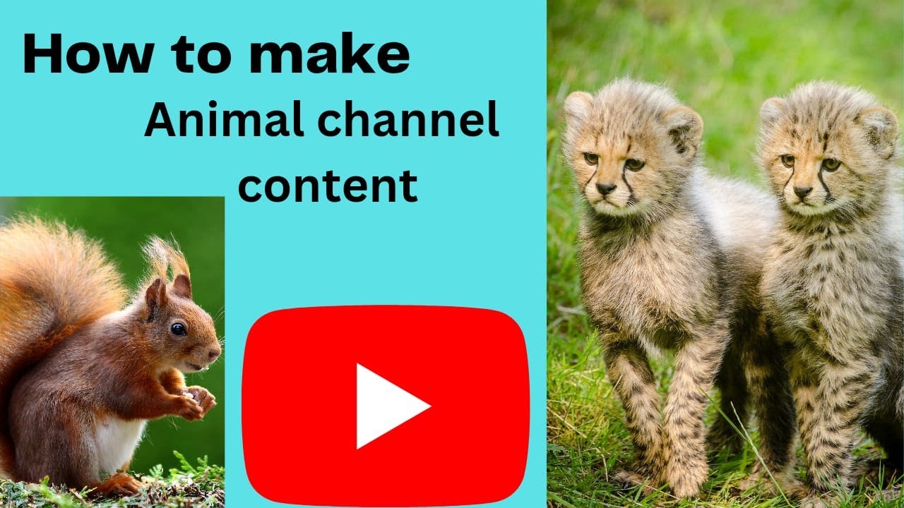 How to make animal channel content some tips - YouTube