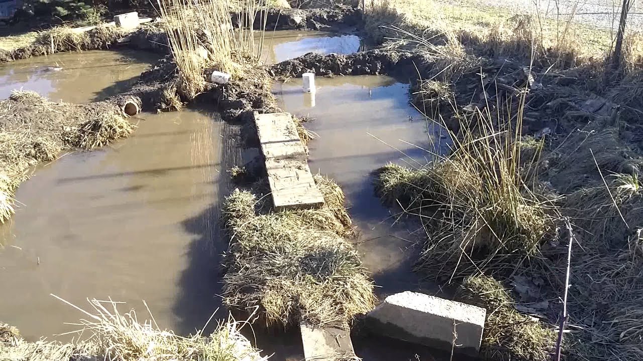 Transform Your Land with Ponds and Swales: 2 Years of Hard Work Finally ...