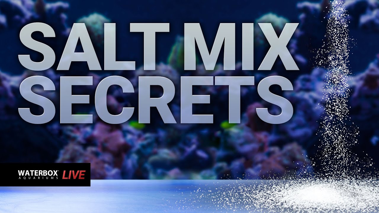 Salt Mix Secrets: Everything You Need to Know for Your Aquarium! - YouTube