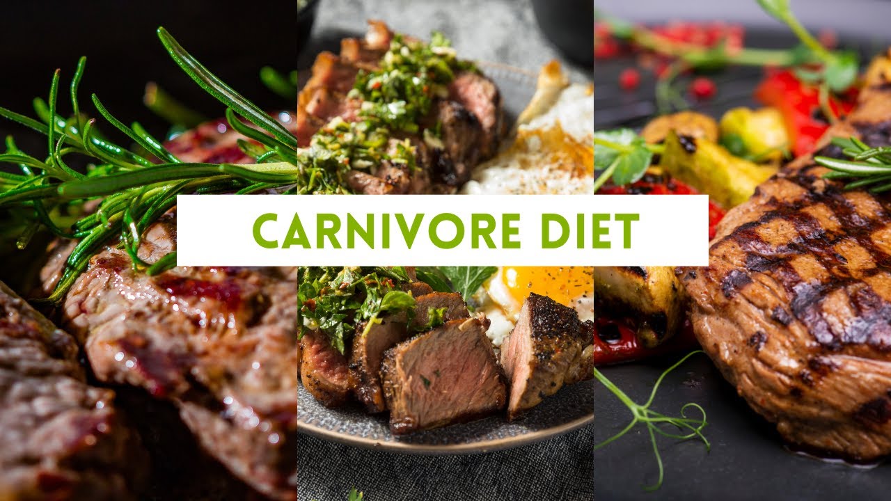 How to Start a Carnivore Diet - YouTube