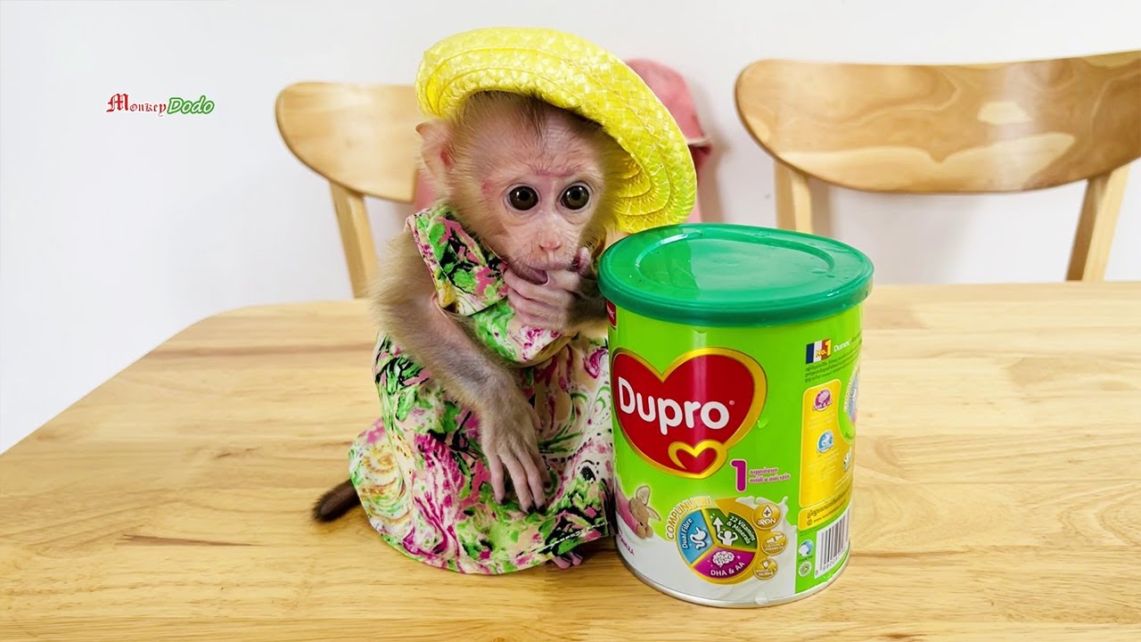 Jenna Hug Milk Cans Quietly When She Hungry Milk - YouTube