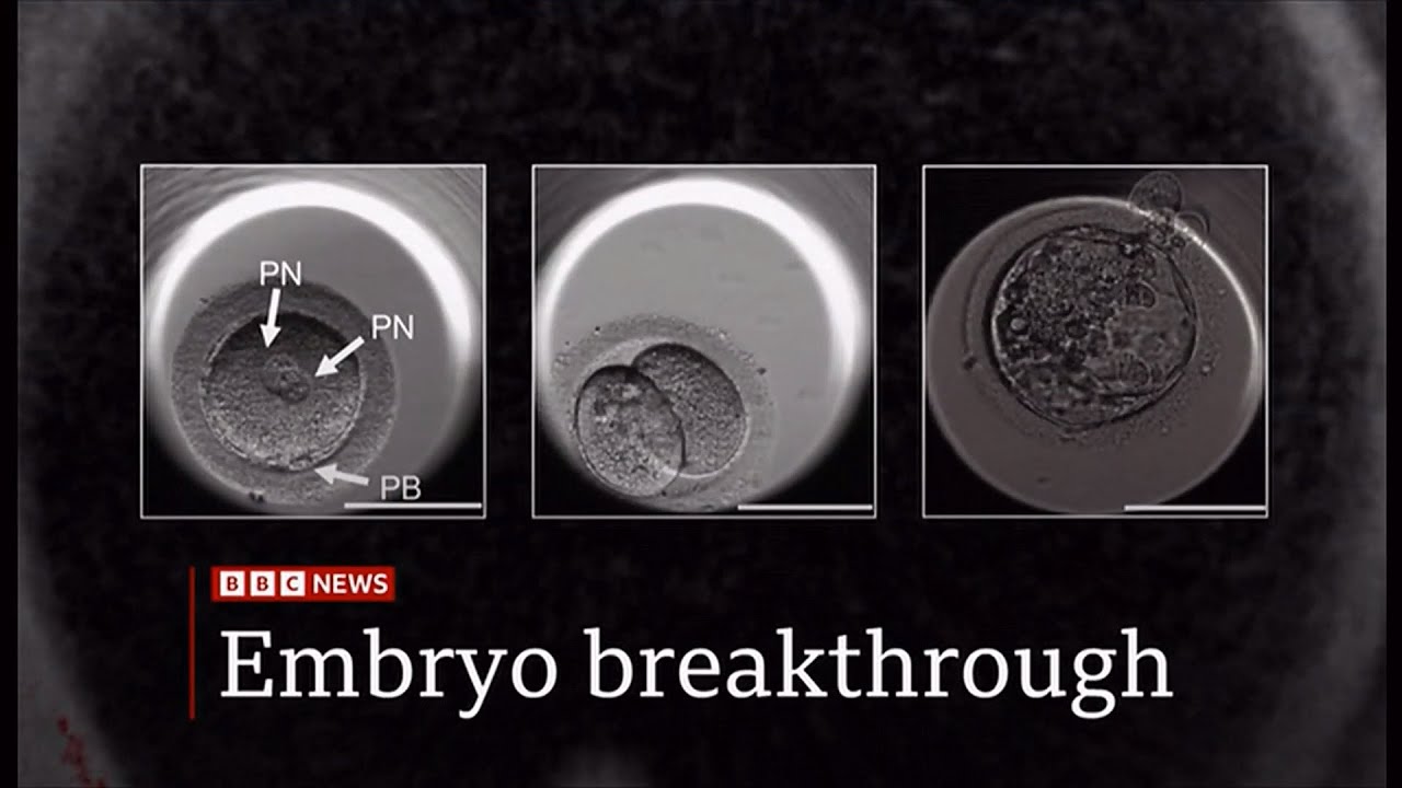 Scientists make embryos from human skin DNA for first time (Global) 30 ...