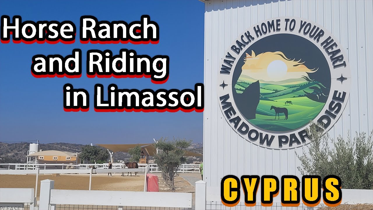 Cyprus Vlog Horse Ranch and Riding in Limassol. What Things to do in ...