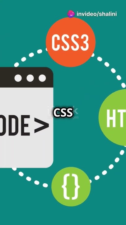 Css Basics Webdevelopment Coding Programming Webdesign Cssbasics Learncss
