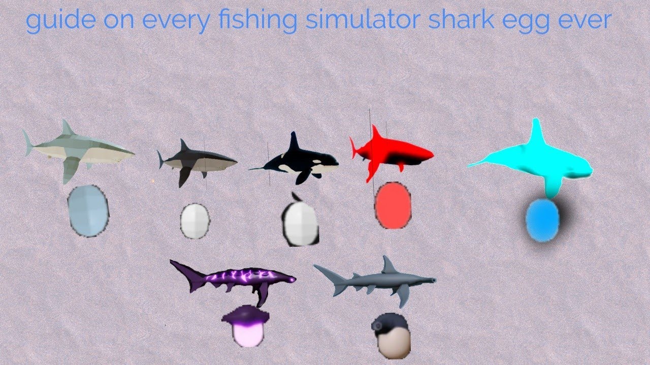 guide to get every shark egg in fishing simulator - YouTube
