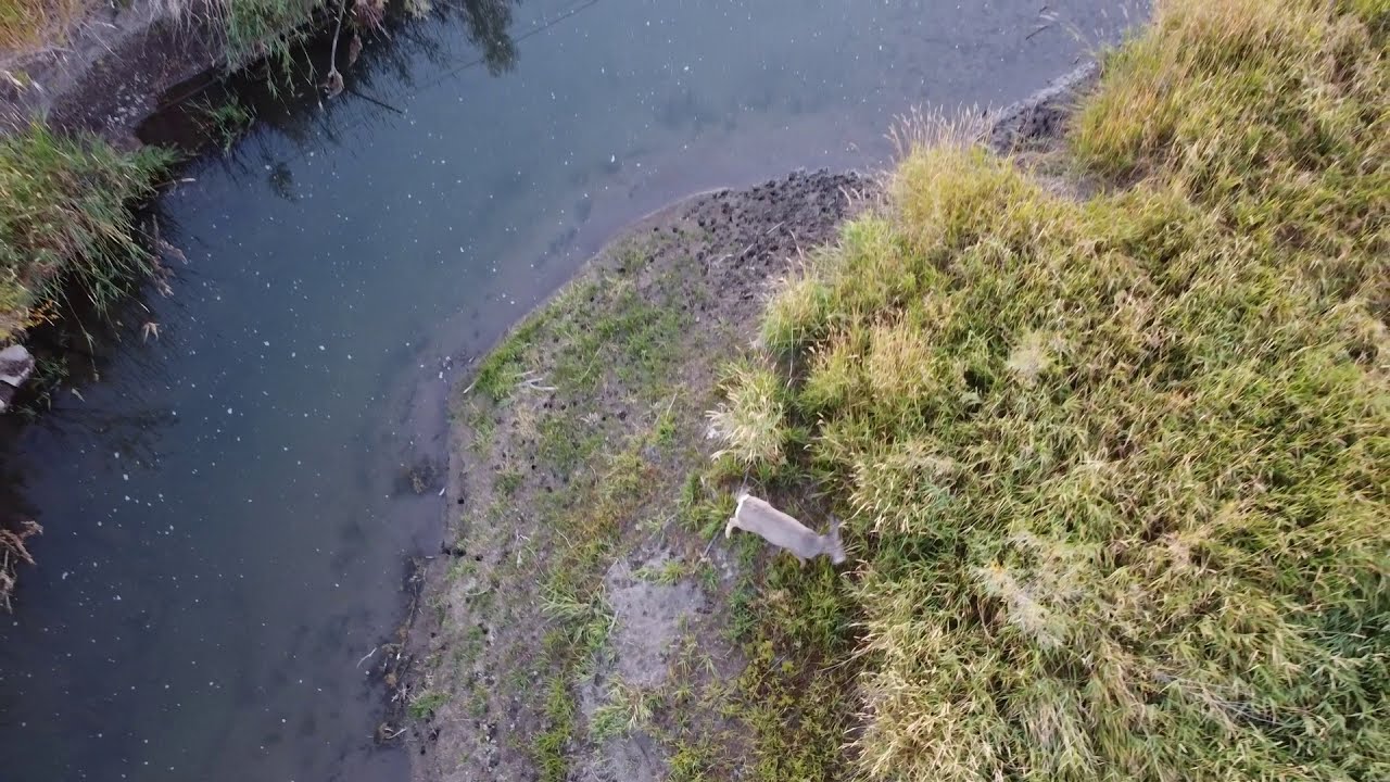 Shields Valley Montana - Aerial Footage - YouTube