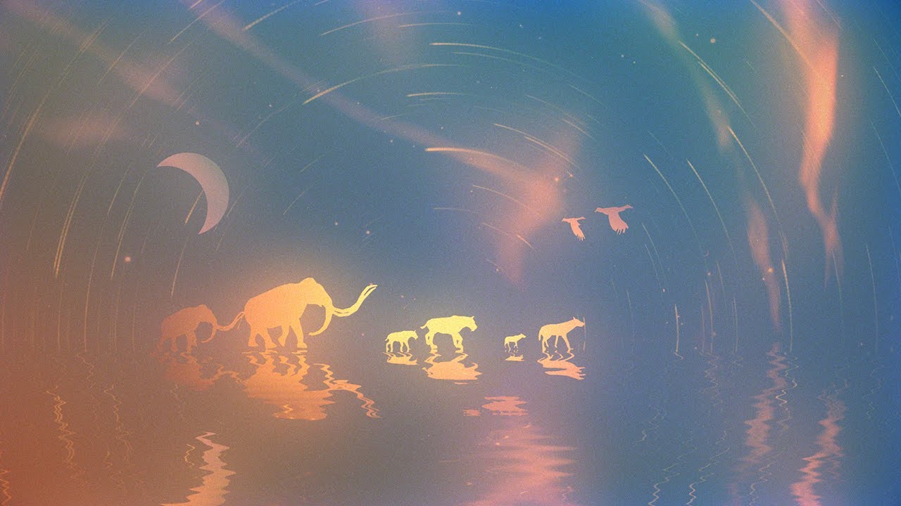 Sarah Kirkland Snider - Gloria (Official Video) - YouTube