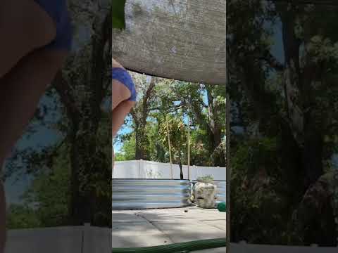 Daily Routine 💕💕 Activities, Live Beautiful Girl #bigolive #periscope #dance