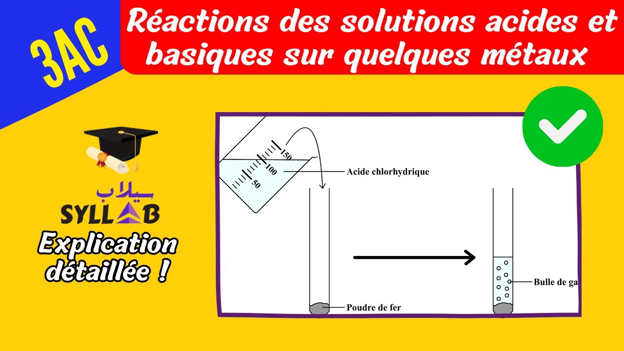 3AC PHYSIQUE : Réactions des solutions acides et basiques sur quelques ...
