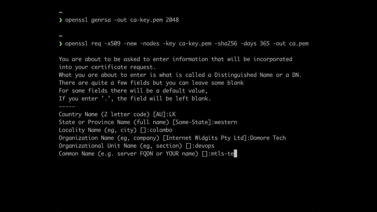 Exploring Mutual TLS (mTLS) : How to Create Certificate Authority(CA) Certificate using OpenSSL ...