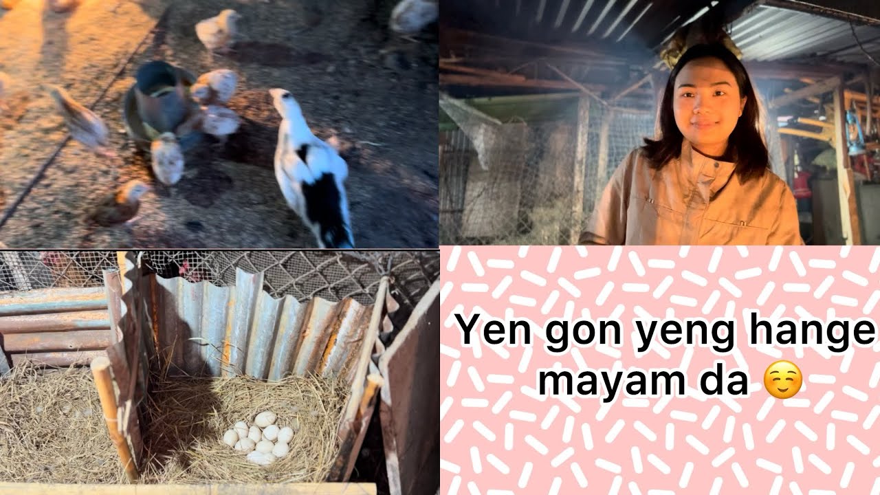 Akhoi gi yen gon yeng hange nganu su😁😄💗 - YouTube