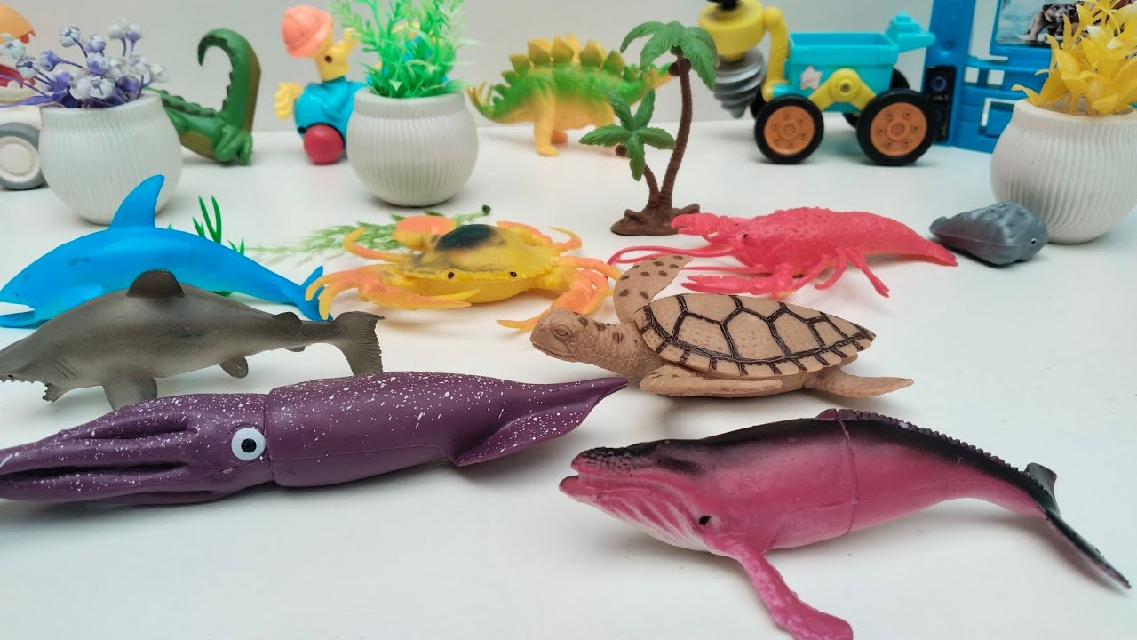 Sea Animals for kids Fun, Turtle, Fish, Unboxing satisfying ASMR - YouTube