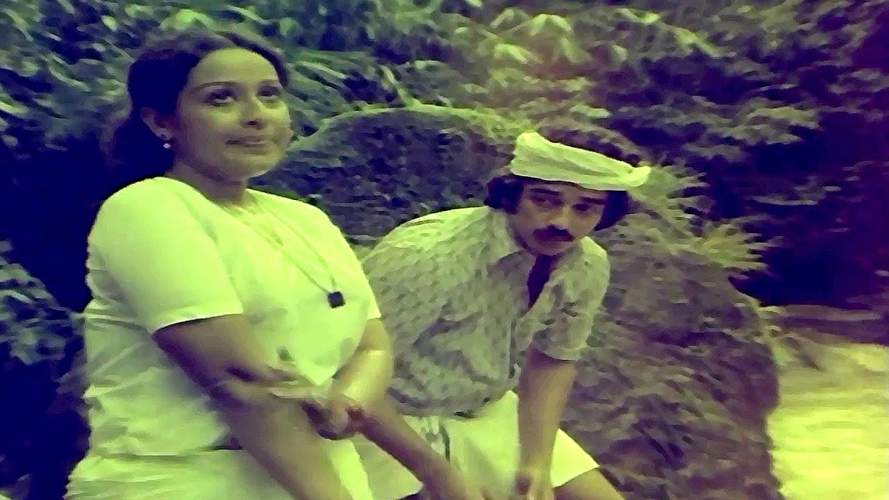 എടാ രാമു നീ എന്ന നോട്ടമാടോ നോക്കുന്നെ...?? | Eeta Movie Scene | Kamal Haasan | Sheela - YouTube