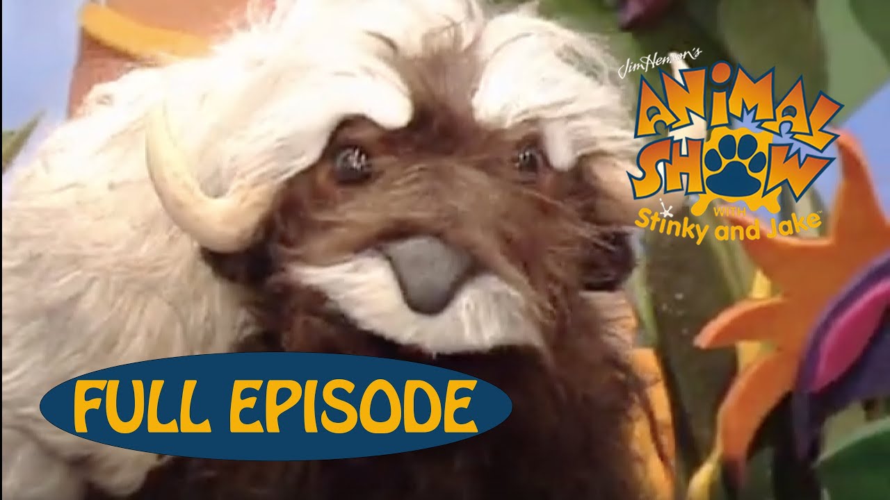 Animal Show | Bison 🦬 / Musk Ox 🐂 | Jim Henson Family Hub - YouTube