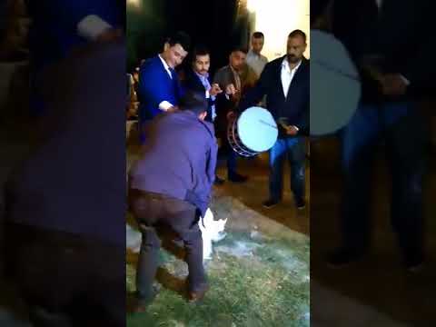 Hatay Dörtyol Yeşilköy Nenni Bebek