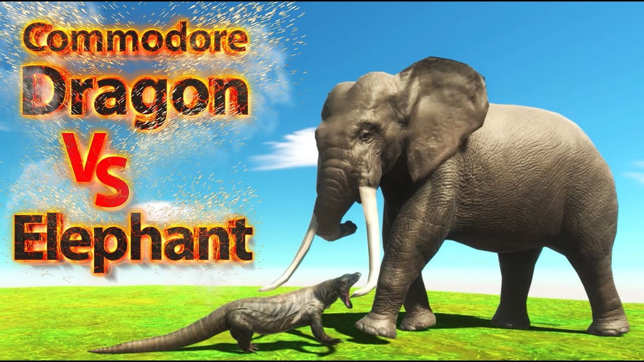 Commodore Dragon vs Elephant ! - YouTube