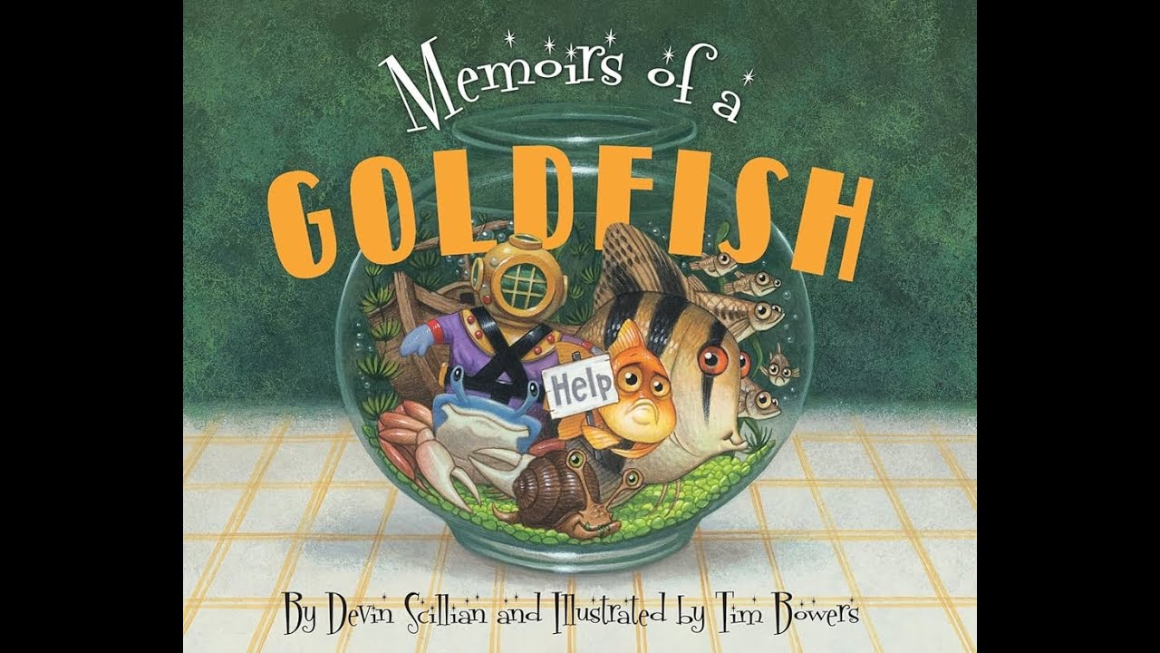 Memoirs of a Goldfish: Read Aloud - YouTube