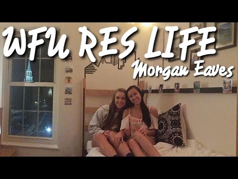 Where Will We Wake?!!// Morgan Eaves - YouTube