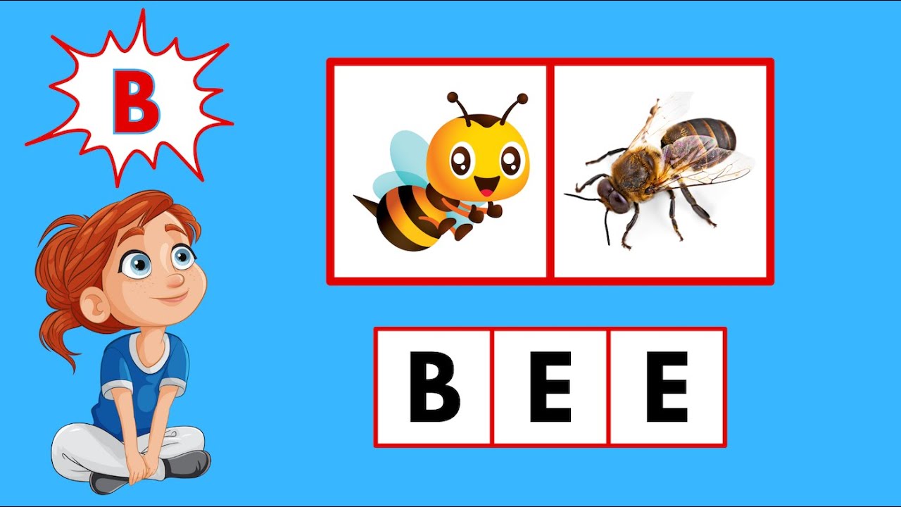 Learn How to Spell 3 Letter Words for Kids | Spelling Words for ...