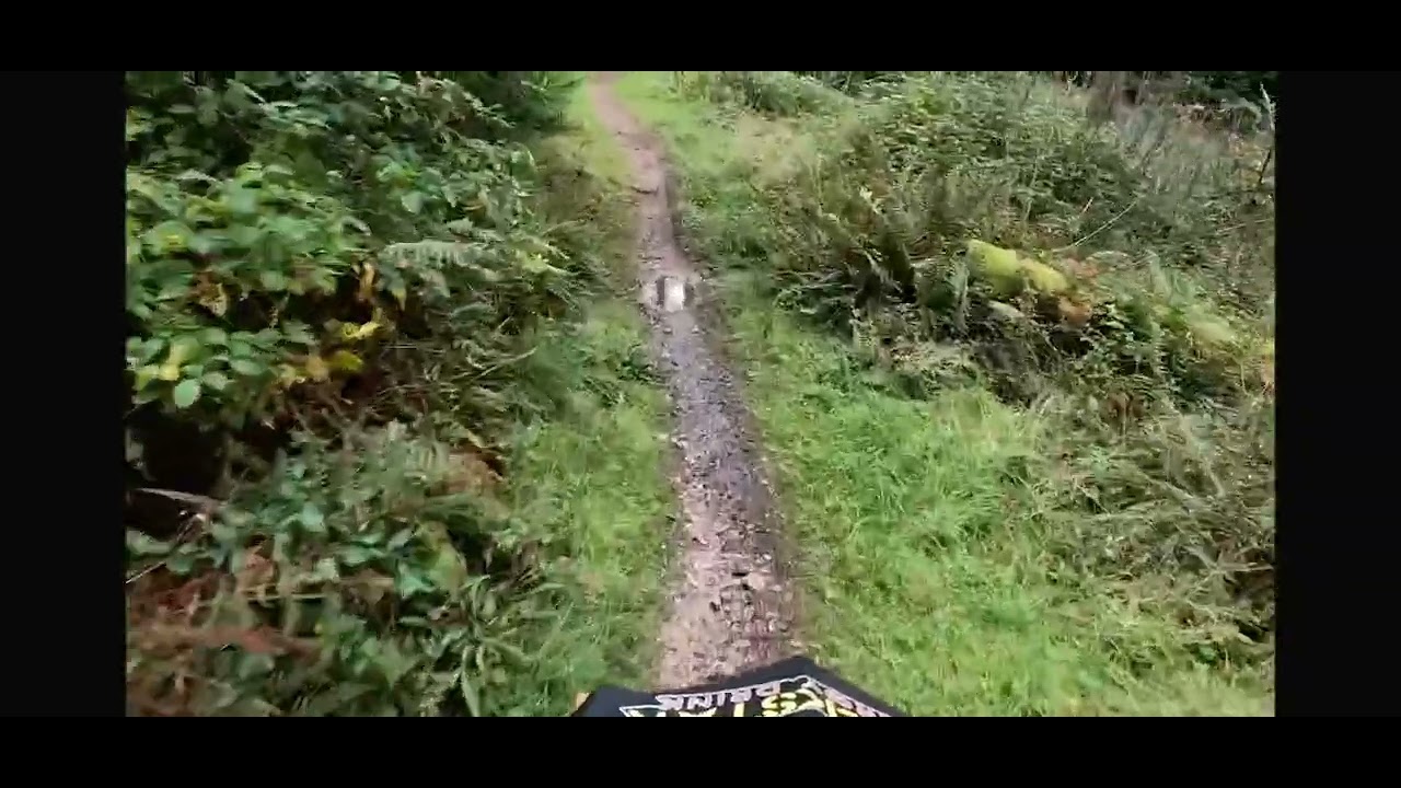 quick simple track - YouTube