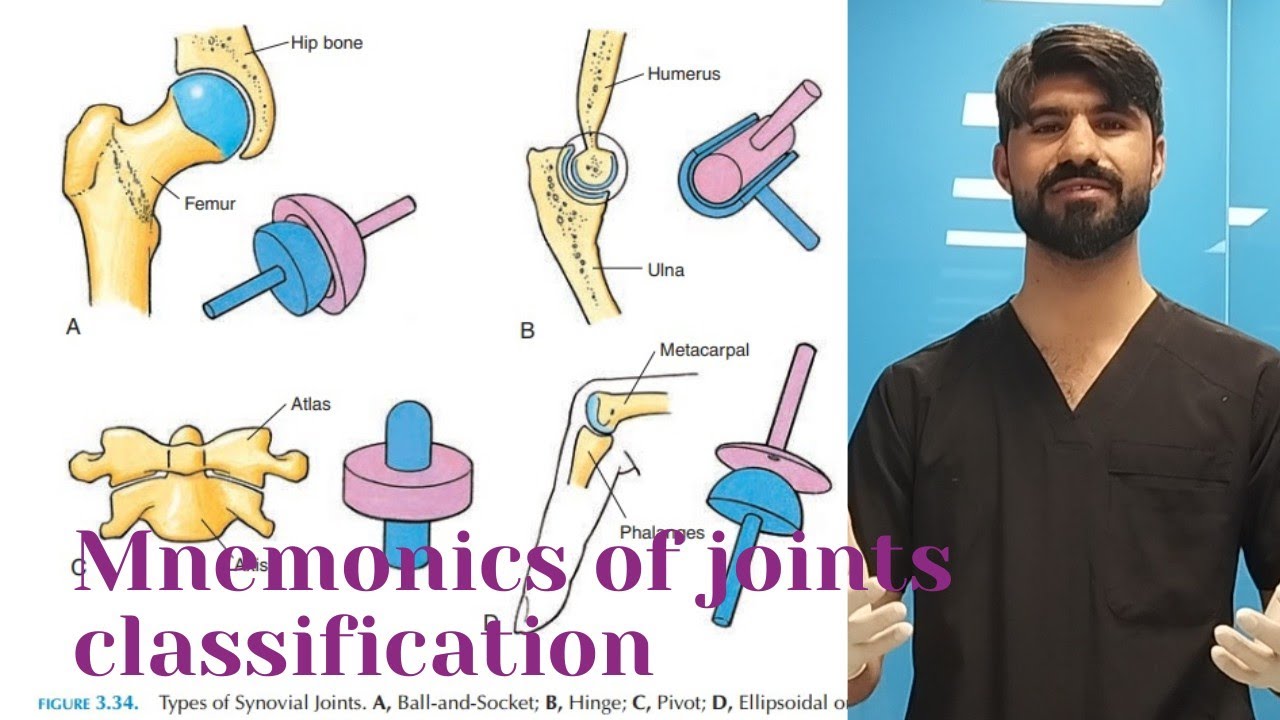 mnemonics of joints classification | structural Joints classification ...