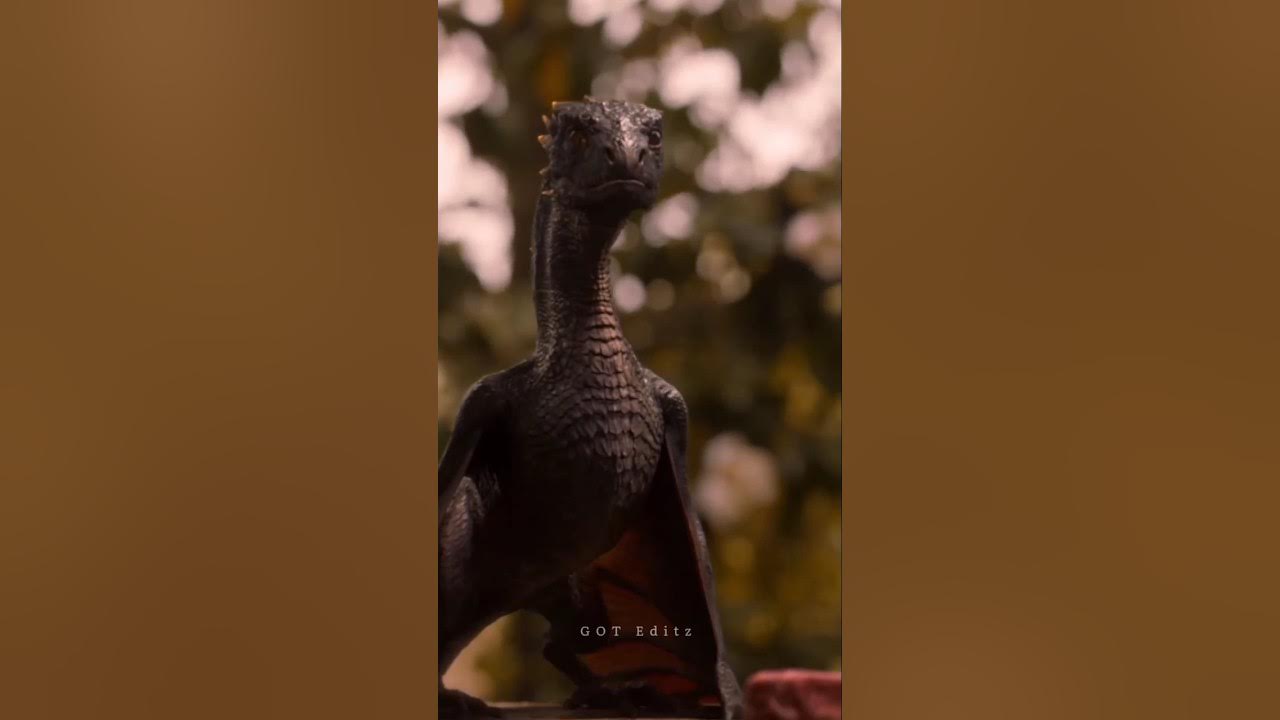 Dragon learn dracarys | game of thrones status #got #gameofthrones # ...