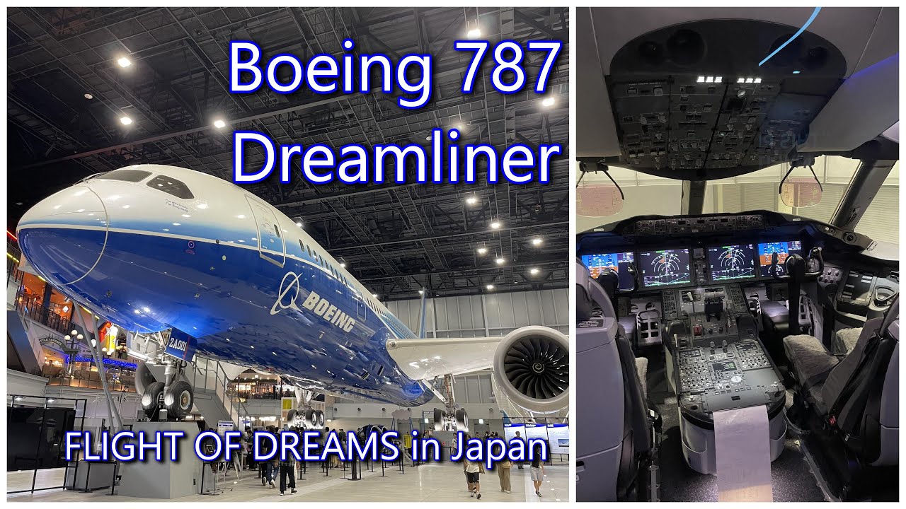 I went to see the first-ever Boeing 787 Dreamliner and it was amazing ...