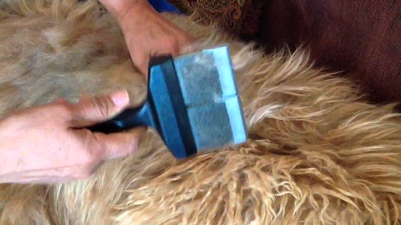 Briard Line Brushing - YouTube