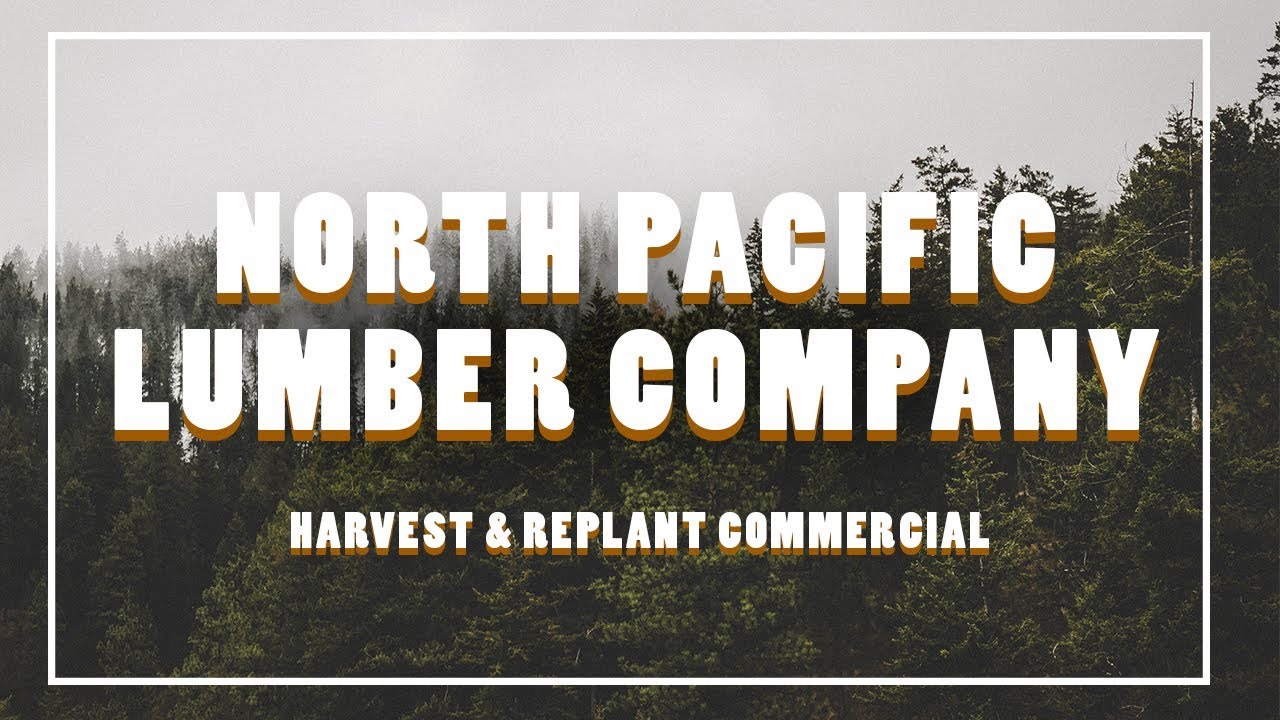 North Pacific Co. - LUMBER COMMERCIAL (Commission) - YouTube