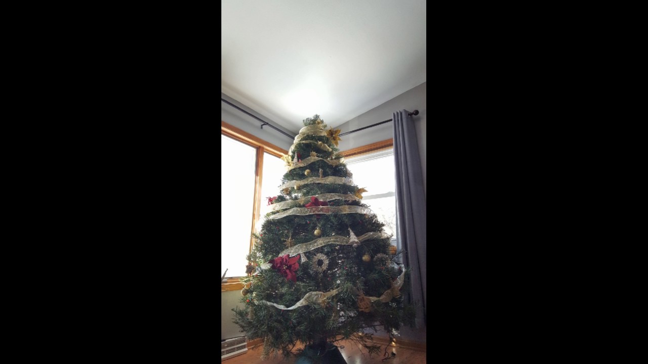 Christmas Tree Tear-Down timelapse - YouTube
