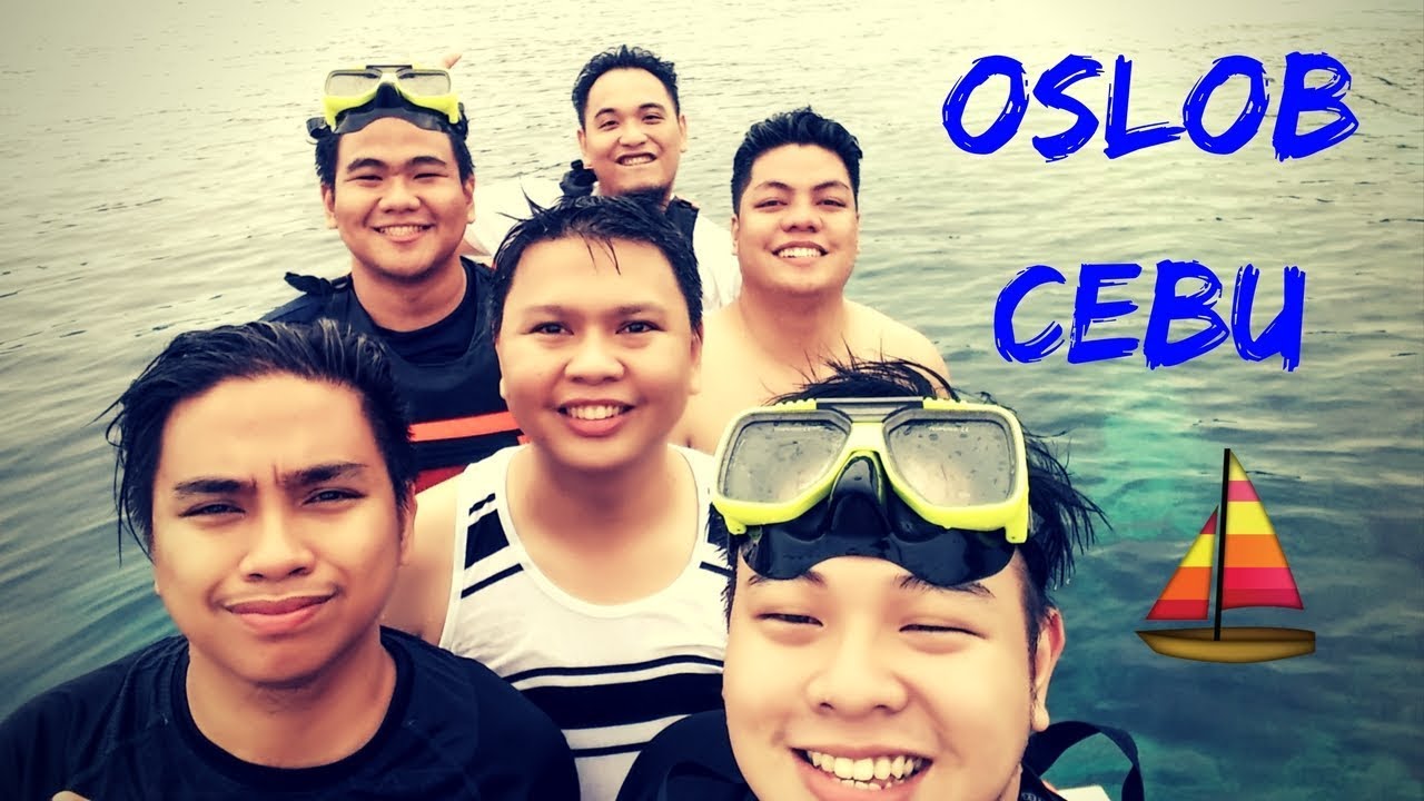 Oslob Cebu (Butanding | Sand Bar) | Bohol-Cebu Trip | Part 8 - YouTube