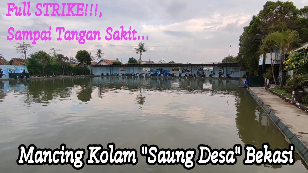 Fishing at Saung Desa "Big Fish Strike" in Bekasi Regency - YouTube