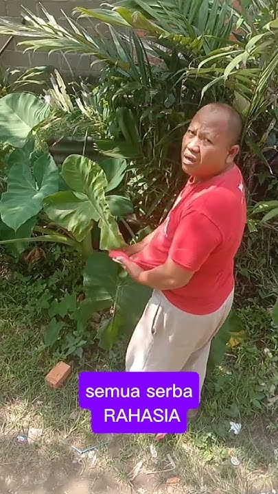 #lucu #tipeketawa #ngakak #komedikuncir #comedy #seharianlucu #funny #komedi #hiburan #fypシ゚ ...